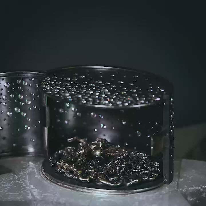 Metamorphosis Objects – Solange Azagury-Partridge