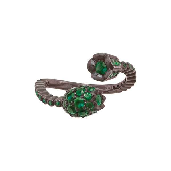 Chlorophyll Ring